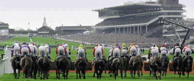 Fast odds og ekstra bet hos Bet25 under Cheltenham Festival | TRAVSERVICE