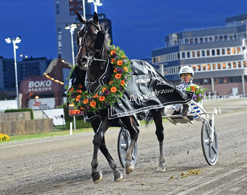 Første Gruppe 1-sejr til Tobin Kronos | TRAVSERVICE