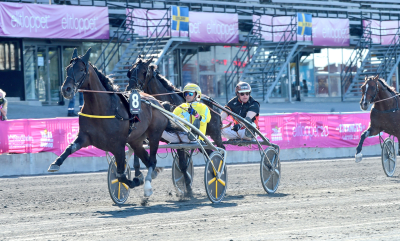 Elitloppet-Finale: Earl Simon eller Cokstile? | TRAVSERVICE