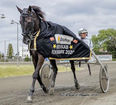 Slide so Easy debuterer på Bornholm | TRAVSERVICE