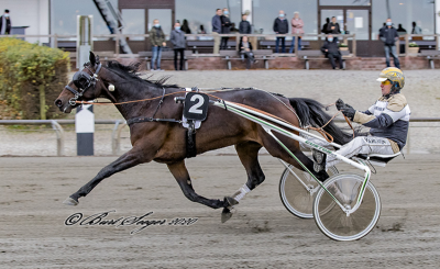 Flyvende hollænder på Lunden | TRAVSERVICE