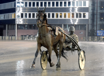 Carl Halbak fortsætter stilen | TRAVSERVICE