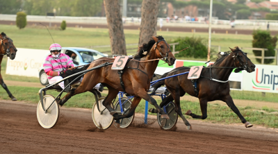 Zacon Gio besejret | TRAVSERVICE