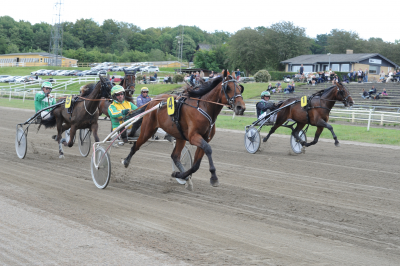 Stald KTAS har fundet en ny hest | TRAVSERVICE