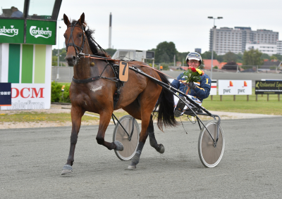 Christian Lindhardt til Tyskland | TRAVSERVICE
