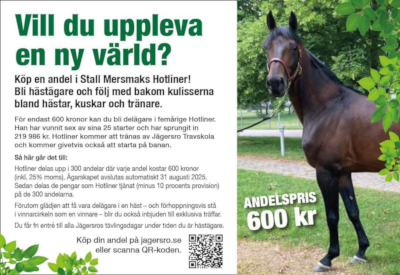 Hotliner bliver anpartshest i Sverige | TRAVSERVICE