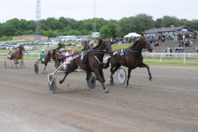 Berlin: Fin lodtrækning til Eddie the Eagle i Super Cup Trot Finale | TRAVSERVICE