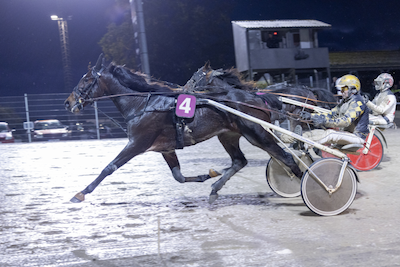 Godfather til Christoffer Eriksson | TRAVSERVICE