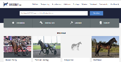 Avlsinteresseret! .- Kender du Breedly? | TRAVSERVICE