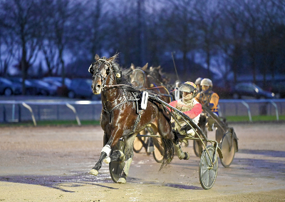 Dansk V65: Koogoo Gaagaa klar til at genoptage sejrsrækken | TRAVSERVICE