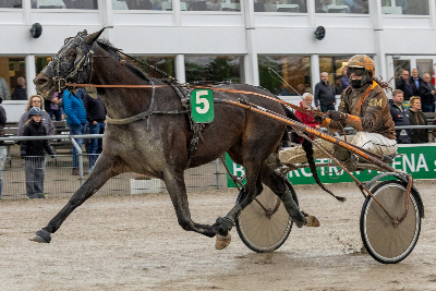 Fraja Ice knockoutede spillerne – igen | TRAVSERVICE