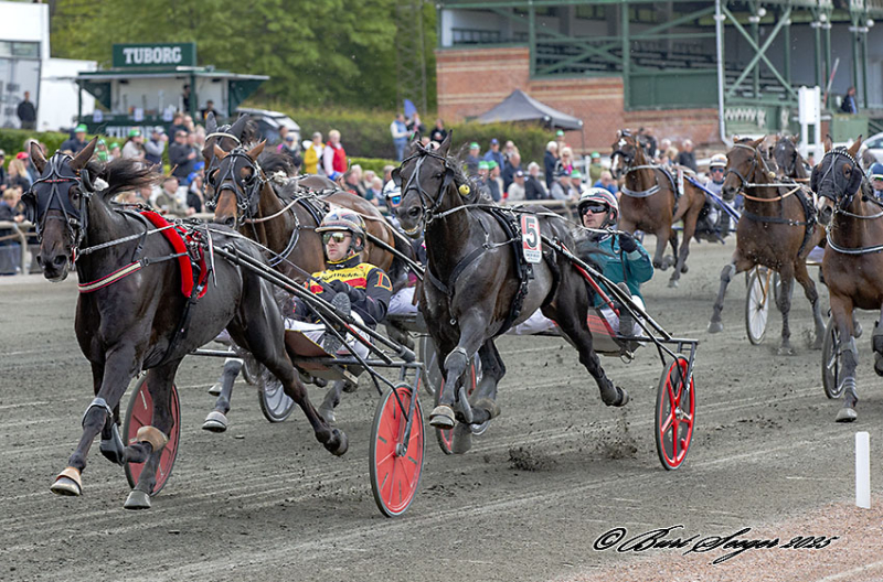 Copenhagen Cup: Nu er Diva EK også Gruppe 1-vinder! | TRAVSERVICE
