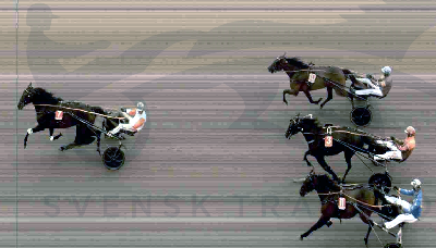 Koogoo Gaagaa sprintede 1.13.1 | TRAVSERVICE