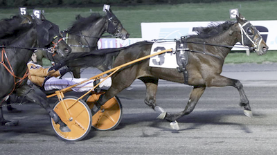 Endnu en dansk traver til USA » TRAVSERVICE