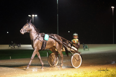 H C Andersen og eventyr hænger fortsat sammen » TRAVSERVICE