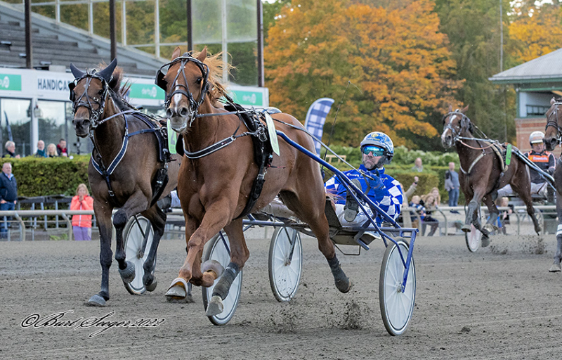 Kriterievinder har sluttet sæsonen » TRAVSERVICE