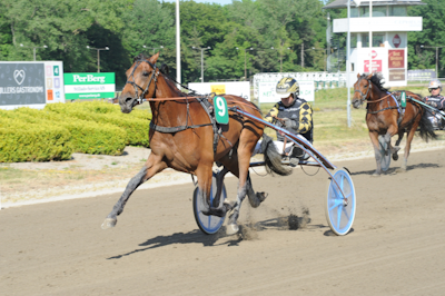 Hnokki Speed vender tilbage til Danmark | TRAVSERVICE