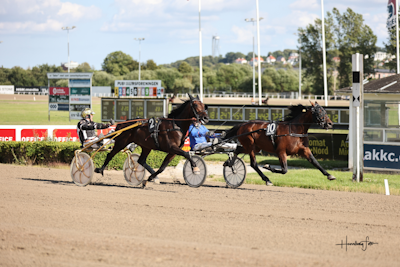 Tid til et tilbageblik » TRAVSERVICE