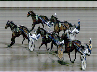 Tre sejre til Team Bo Westergaard på Åby Travet | TRAVSERVICE