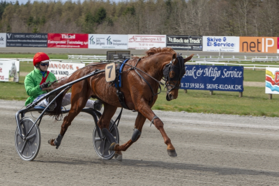 Regn ingen hindring! | TRAVSERVICE