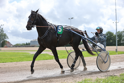 Flemming Jensen og Gordon Dahl til start på Ørebro » TRAVSERVICE