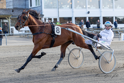 Bo Westergaard i norske Derbyprøver » TRAVSERVICE
