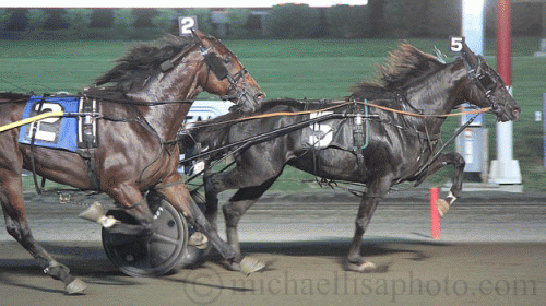 Ready Cash-sejr på The Meadowlands | TRAVSERVICE