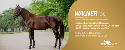 Walner-share på Selected Sales » TRAVSERVICE